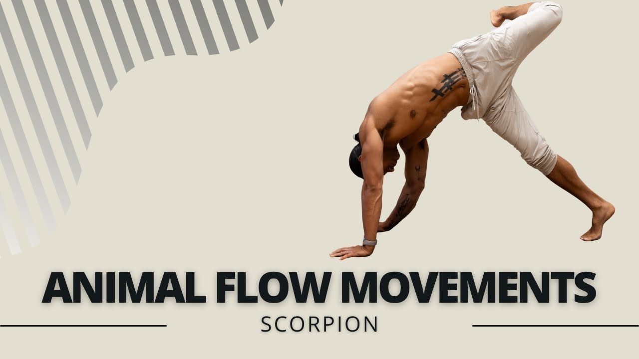 Scorpion Tutorial Learn Animal Flow Primal Movement Bodyweight
