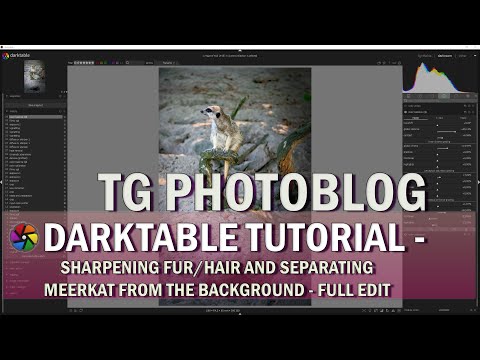 Darktable Tutorial Sharpening Fur And Separating Meerkat From The