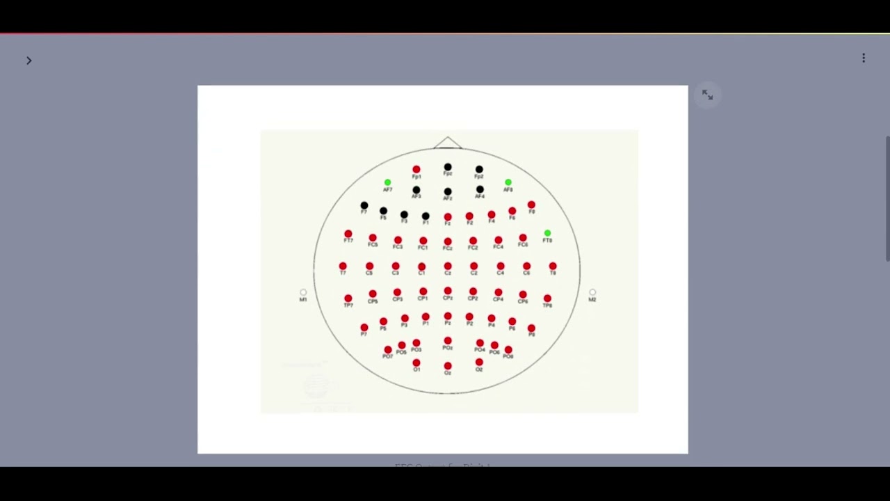 Neurosight Youtube