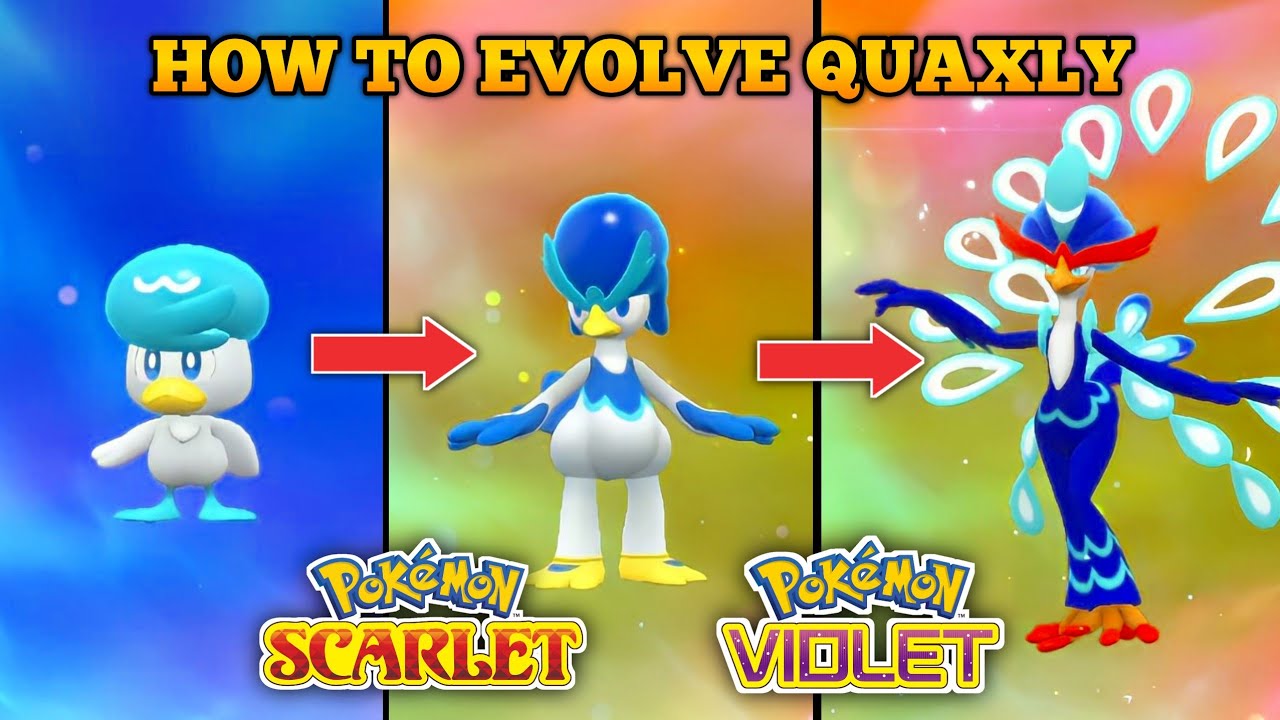 Quaxly Final Evolution In Pokemon Scarlet And Violet 47 42 Off
