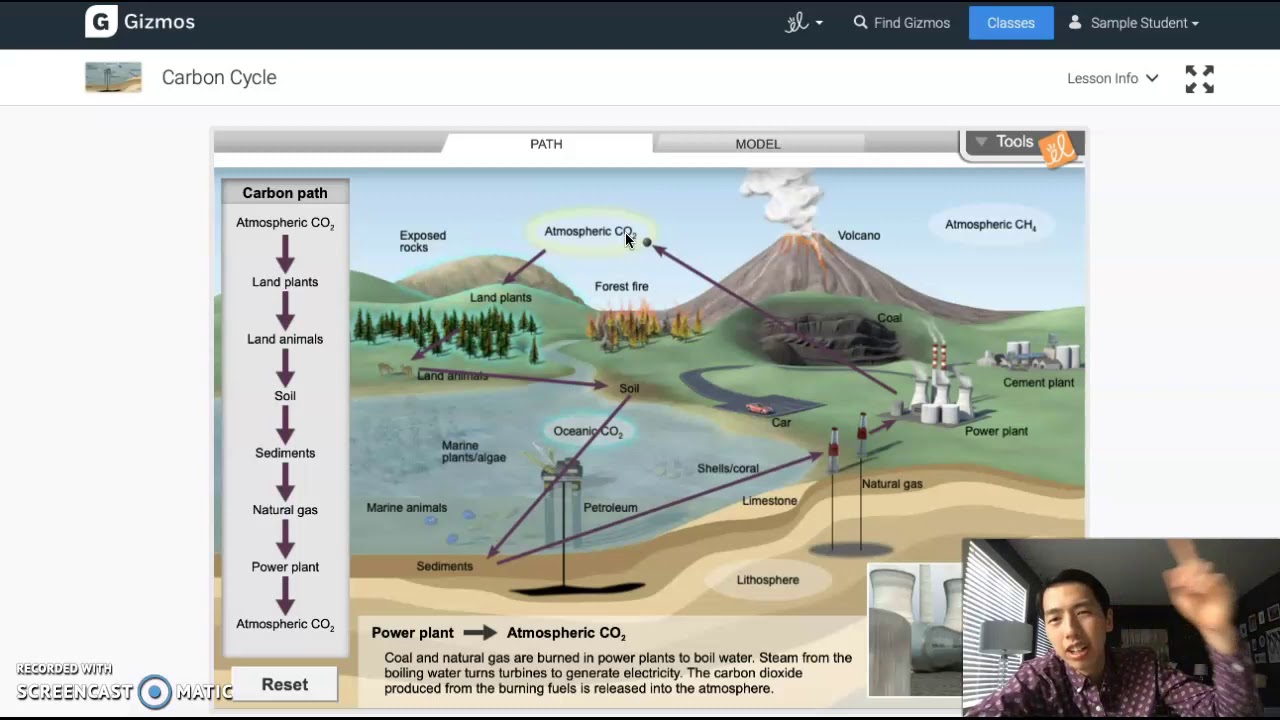 Gr9 Science Week 7 04 Using The Carbon Cycle Gizmo Youtube