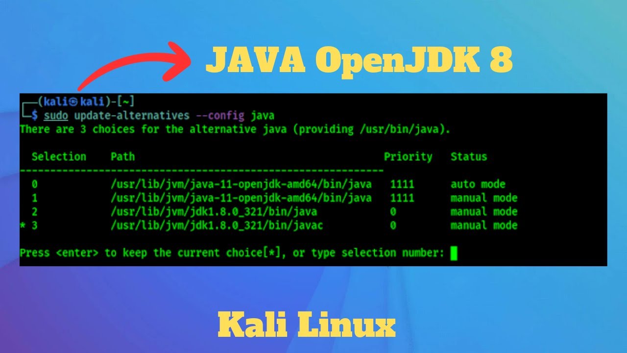 How To Install Java Openjdk 8 On Kali Linux Youtube