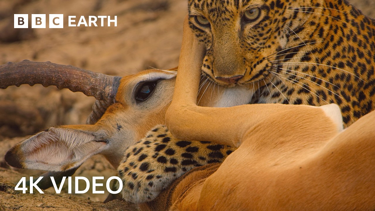 Discover Untouched Nature In Secret Earth Areas 4k Uhd Hadnews