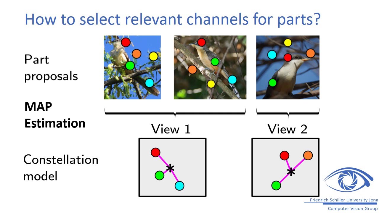 Part Discovery For Fine Grained Classification Youtube