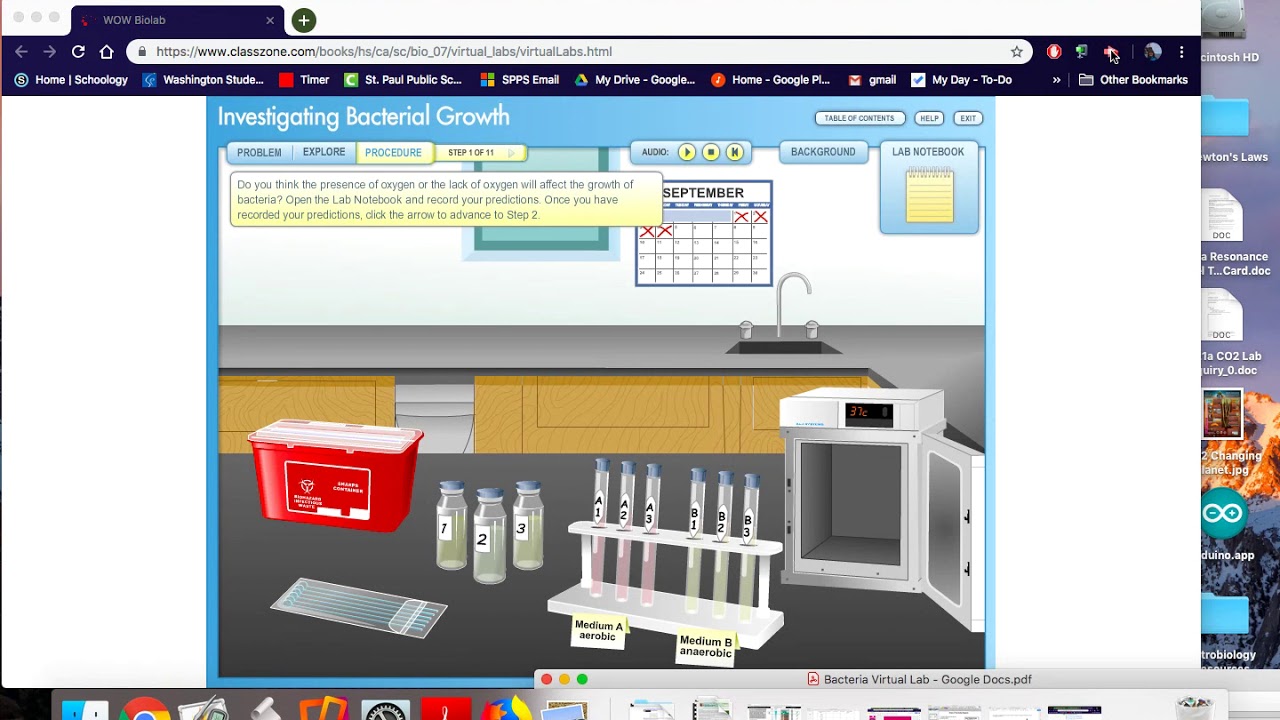 Bacteria Growth Virtual Lab At Mary Hawley Blog