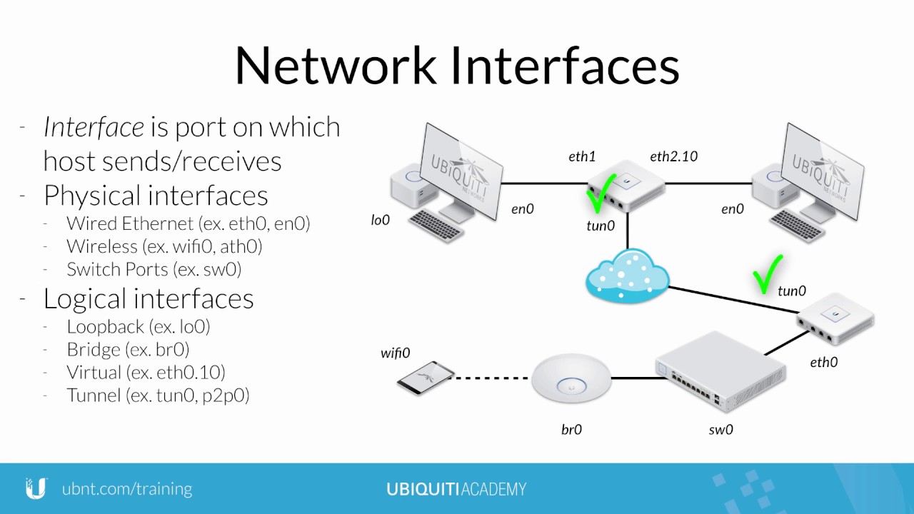 Network Interfaces Def At Harold Case Blog