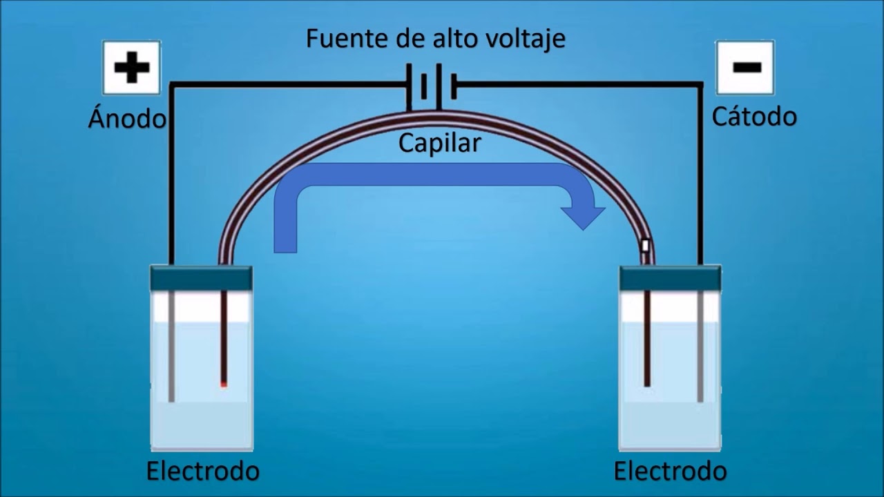 Electroforesis Capilar Conceptos Básicos Youtube