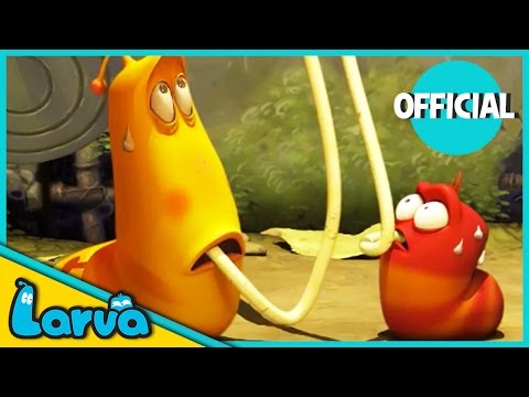 Larva Funny Animation Larva And The Spaghetti Cartoons For Children