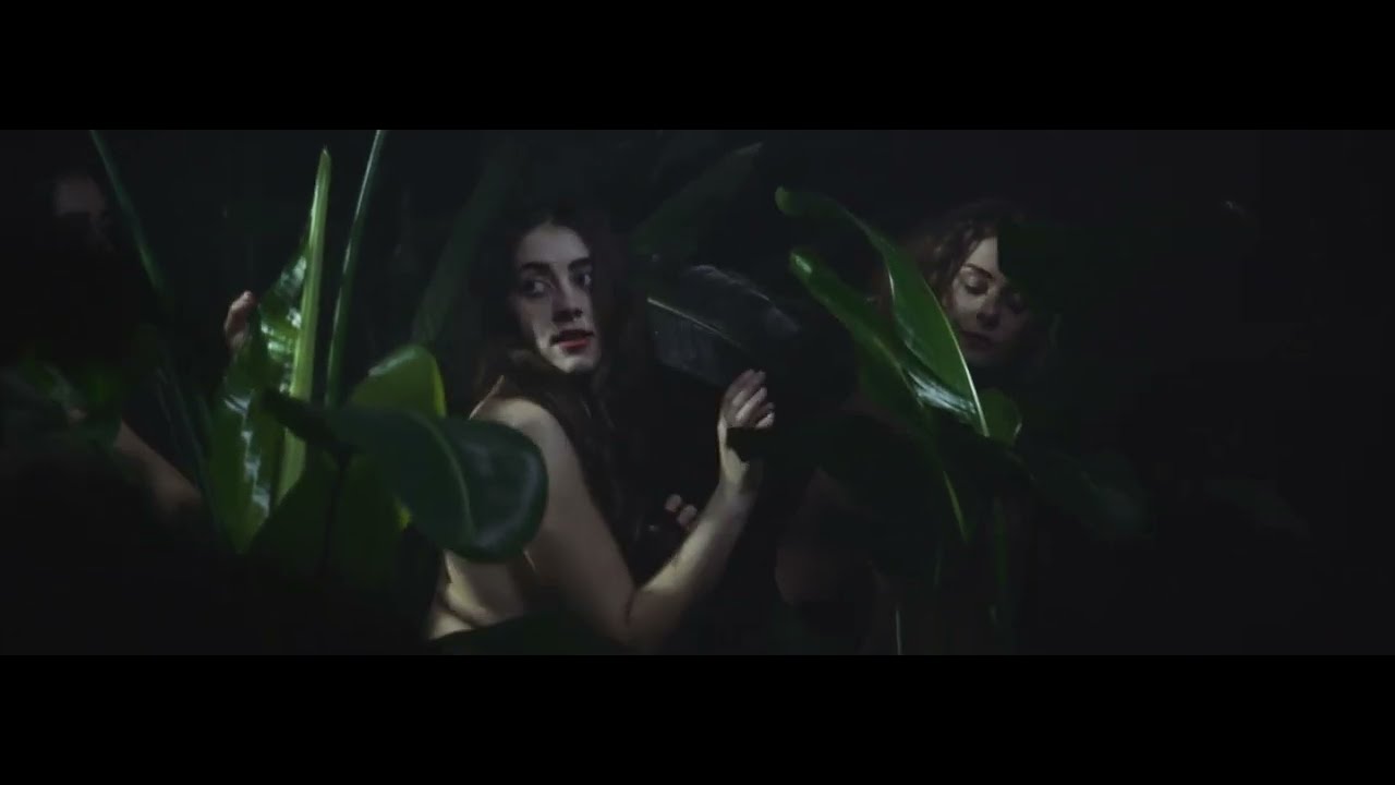 Topless Women Walking Through The Forest Free Stock Video Footage