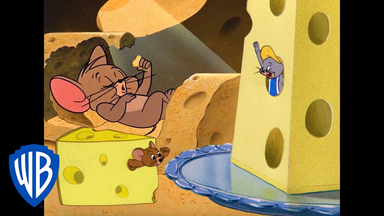 Tom Y Jerry En Latino Digan Queso Wb Kids Youtube
