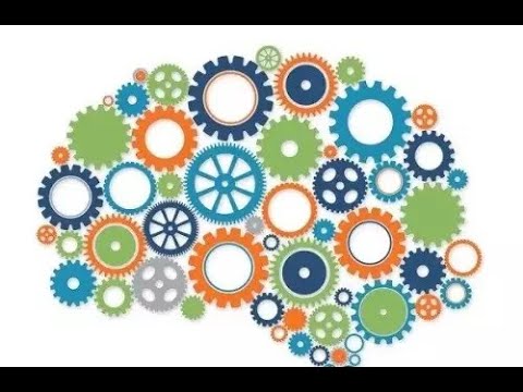 Understanding Human Intelligence Exploring Our Cognitive Abilities 4