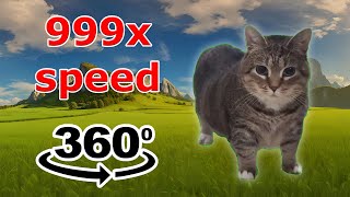 Oiiaoiia Cat Original Vs 999x Speed Spinning Cat Meme 360º Mango ...