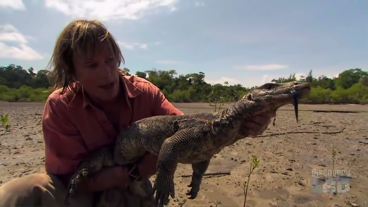 Austin Stevens In Search Of The Man Eating Python Reticulated Python