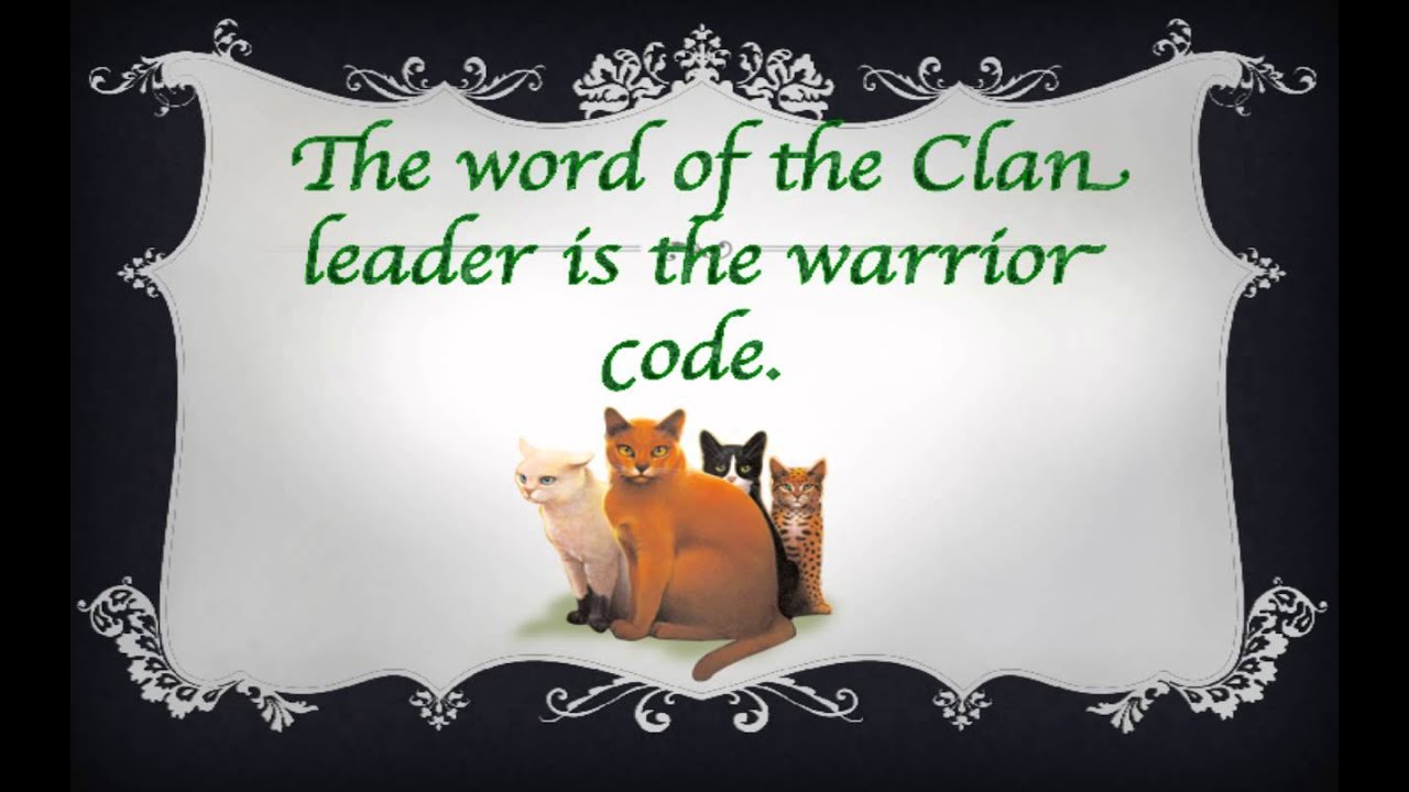 Warrior Cat Code Youtube
