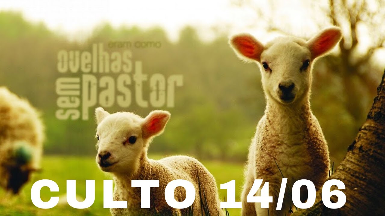 Culto 14 06 2020 Youtube