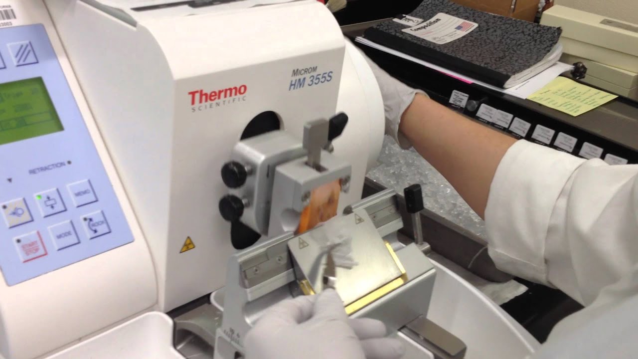 Histology Microtomy Youtube