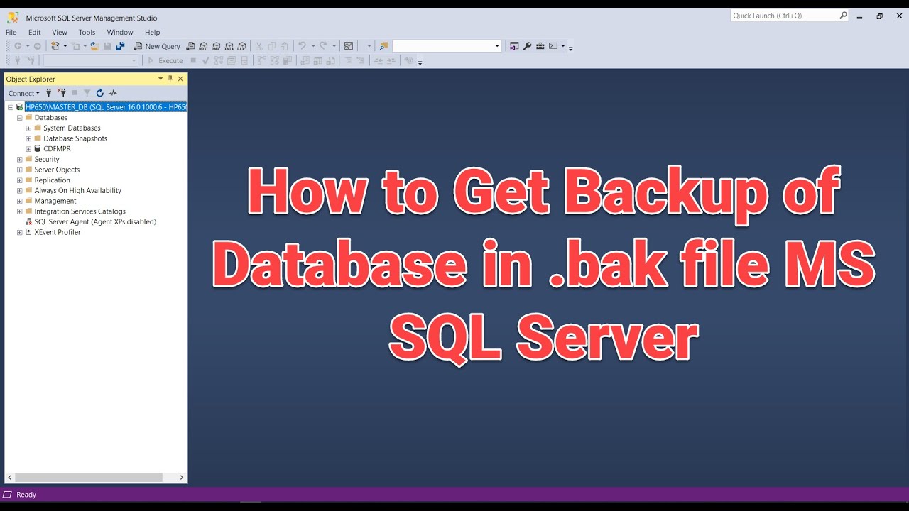 How To Create A Bak File Backup In Ms Sql Server Step By Step Guide