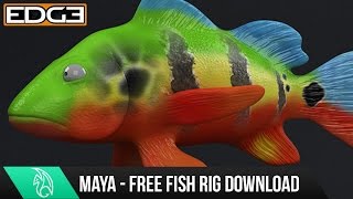 Free Fish Rig For Autodesk Maya Download Demo Edge Cgi 3d Tutorials And ...