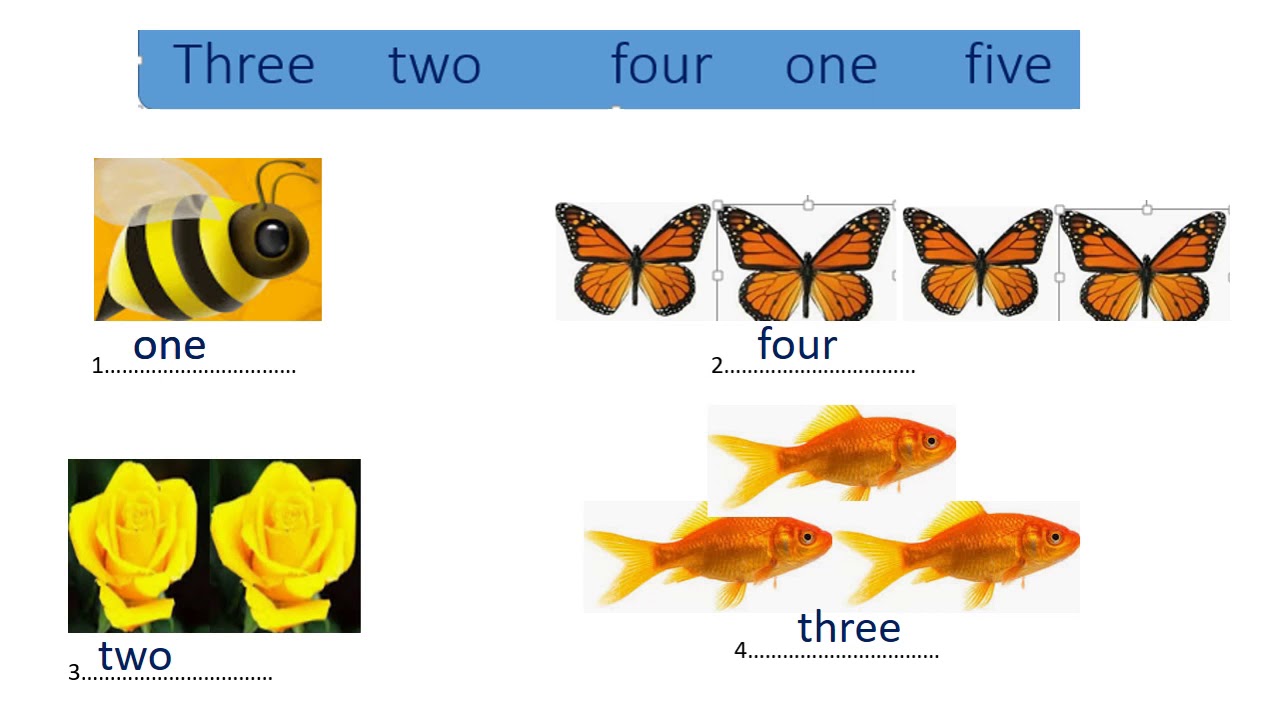 Tinytalk 1a Unit 6 Youtube