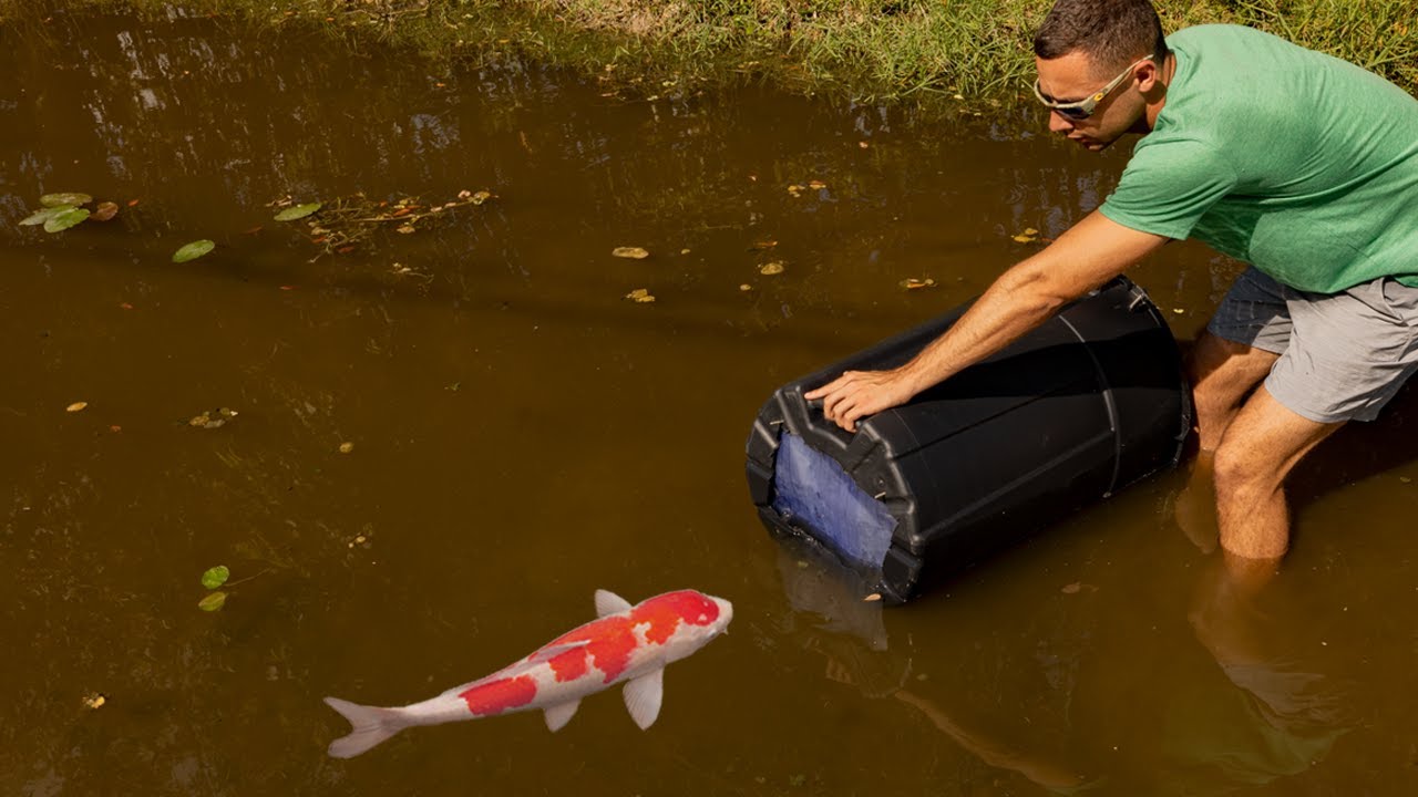 Fish Trap Catches Pond Monster Youtube