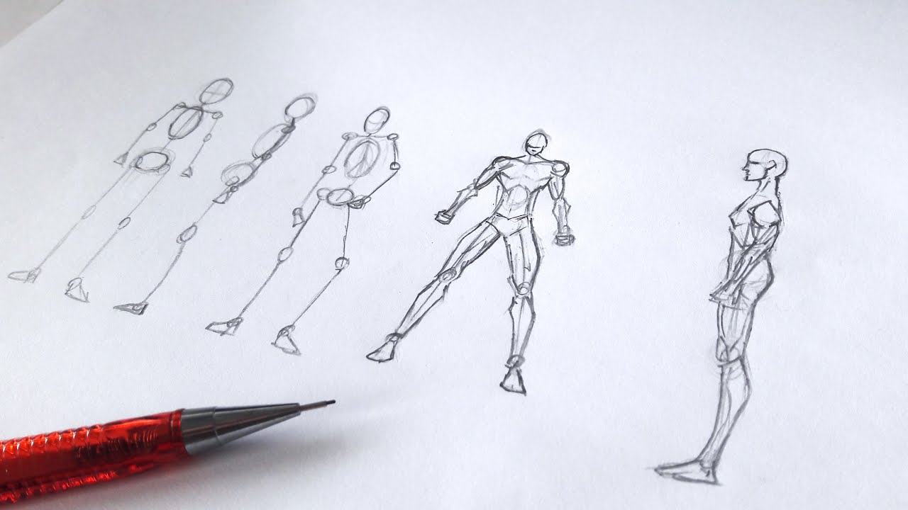 How To Draw Basic Anatomy Easy Tutorial Youtube