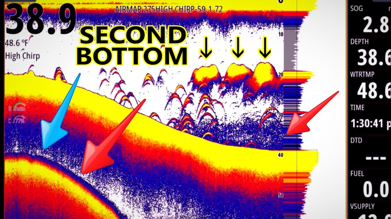 Sonar For Dummies Fish Finder Explained For Beginners L2 Youtube