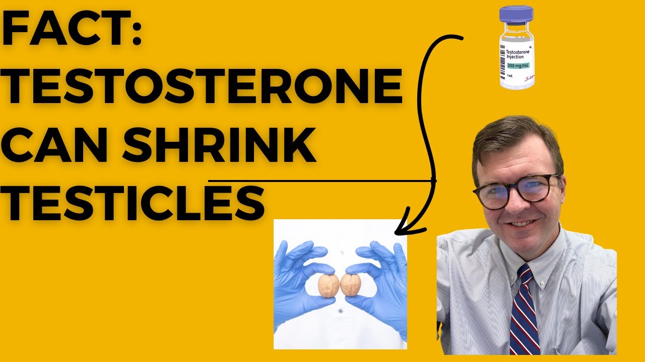 Does Testosterone Therapy Shrink Your Balls Testicles Dr Kent Delay