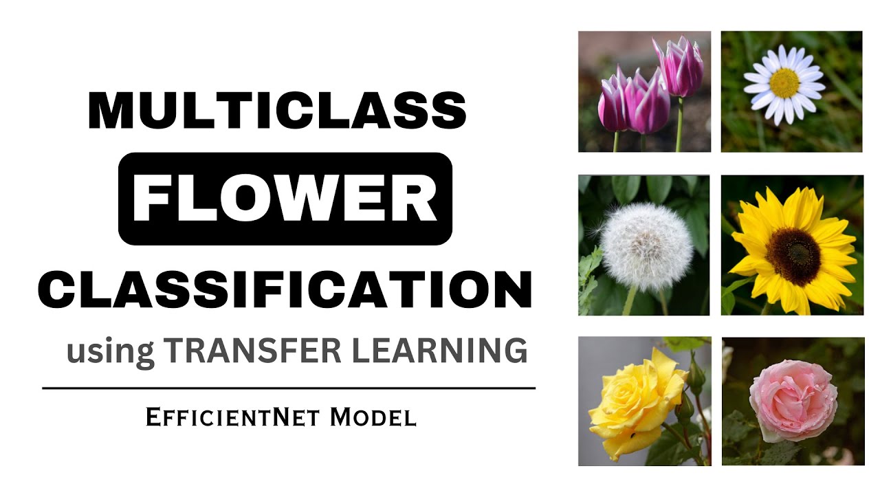 Multiclass Flower Classification Using Transfer Learning Efficientnet