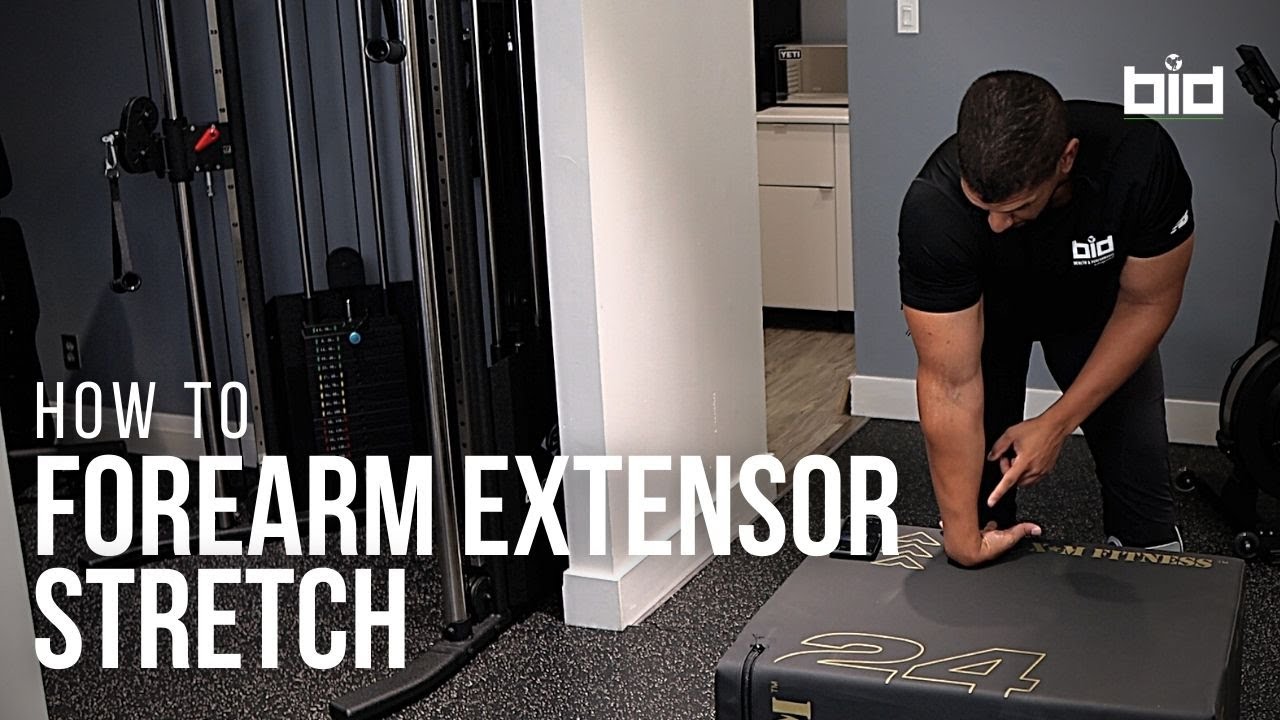 Forearm Extensor Stretch Youtube