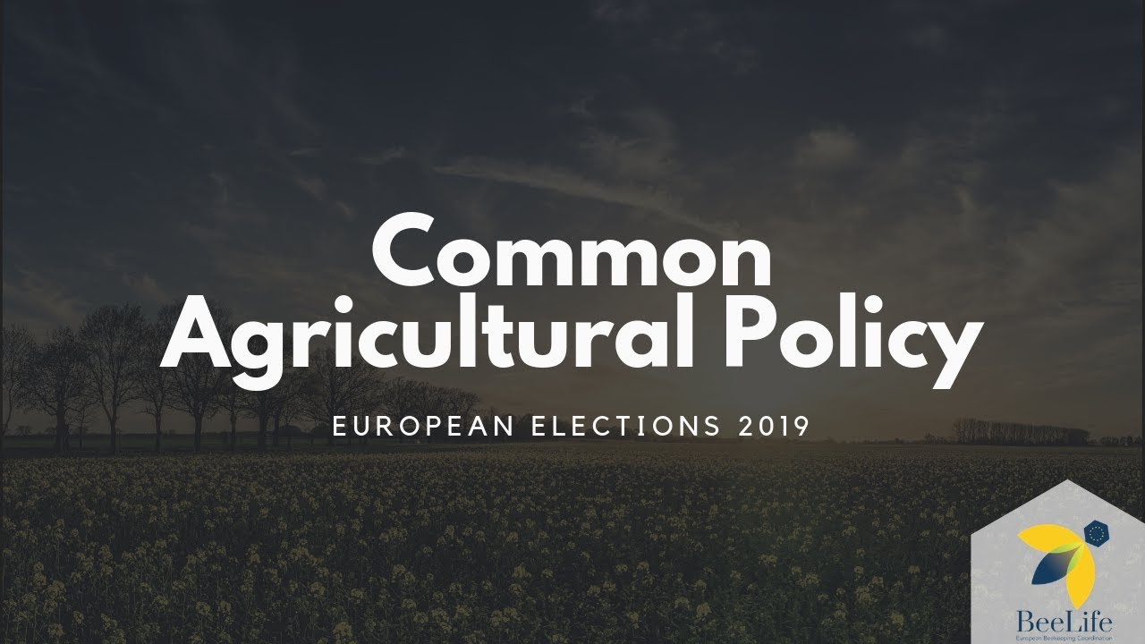 Eu S Common Agricultural Policy Euelections2019 Youtube