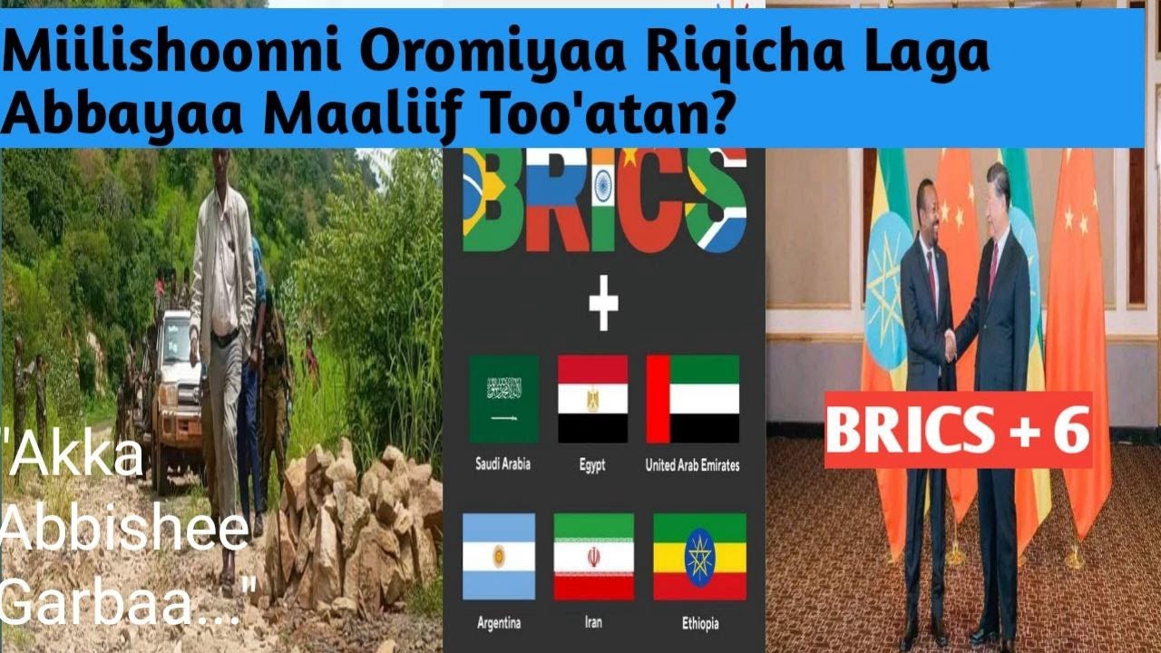 Oduu Hagayya 24 2023 Youtube