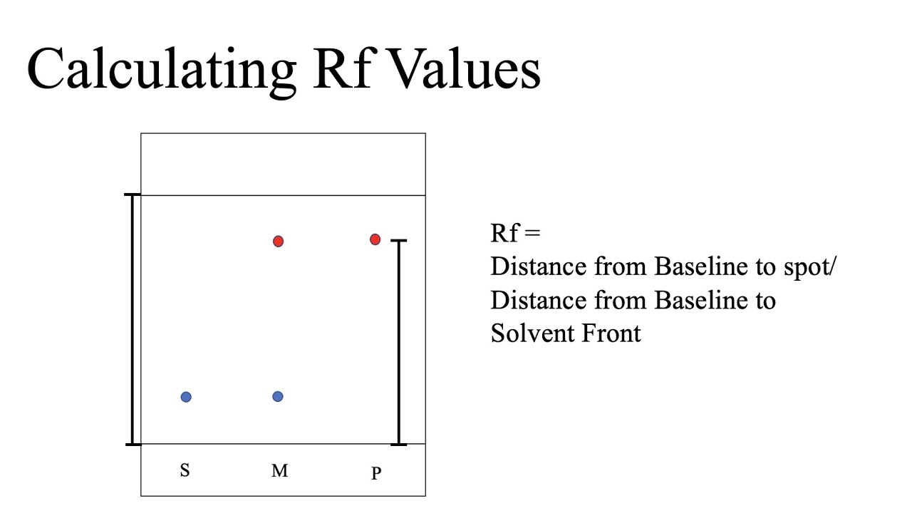 Tlc Analysis Rf Values At Eva Brown Blog