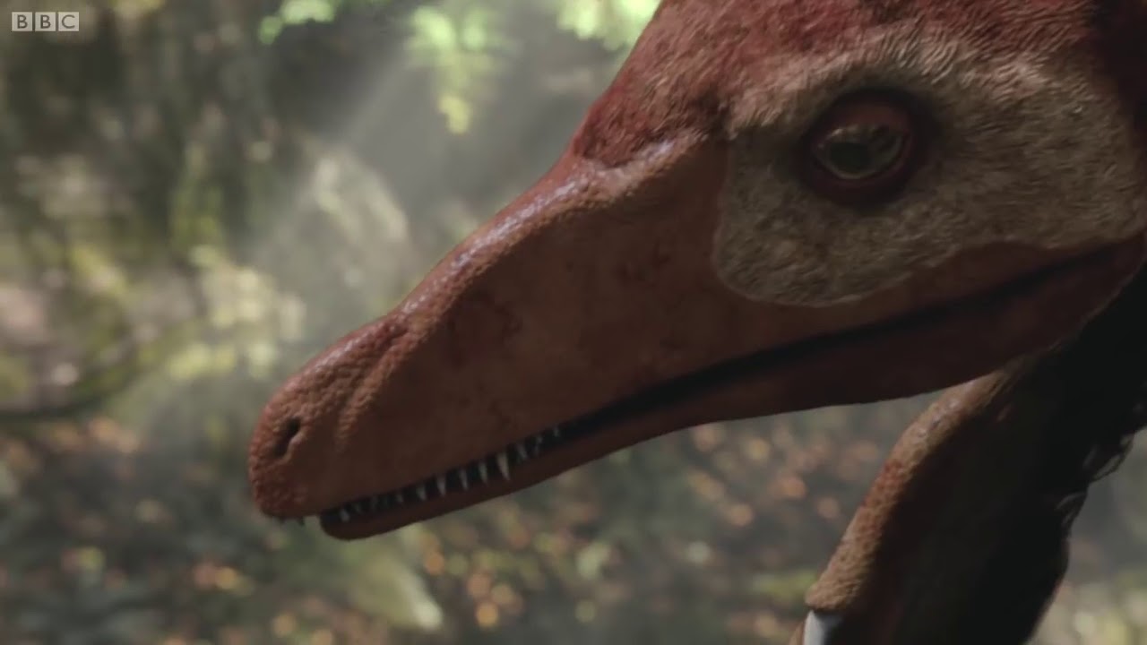Microraptor Planet Dinosaur