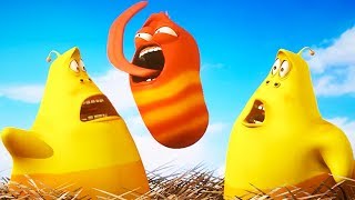 Larva Double Eyelids Cartoons For Children Larva Full Episodes