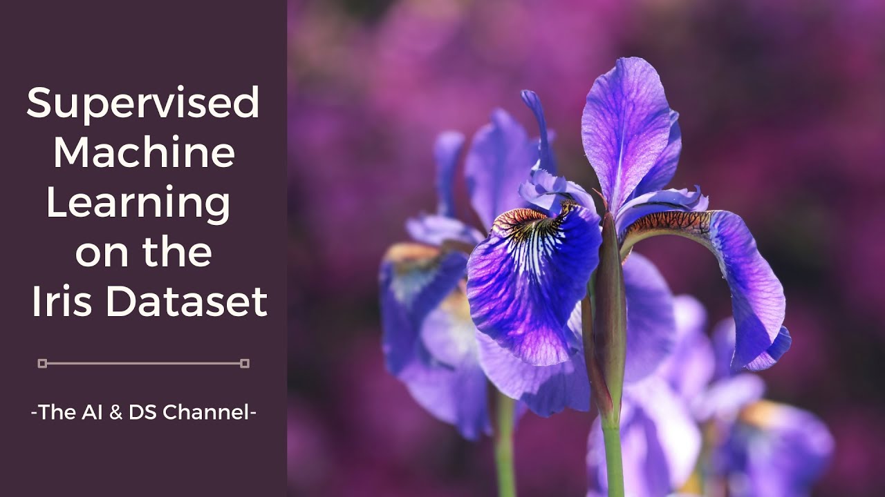 Machine Learning On Iris Dataset Supervised Learning On Iris Dataset