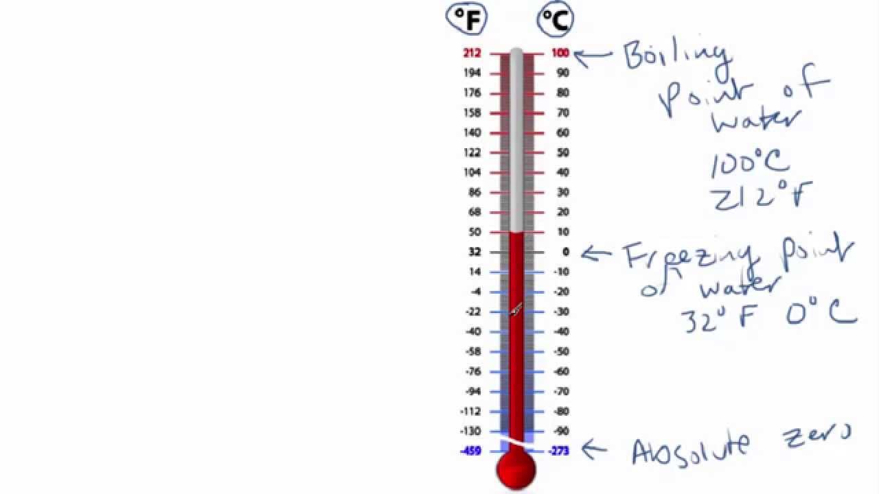What Is The Proper Way To Use A Thermometer At Marsha Tibbetts Blog