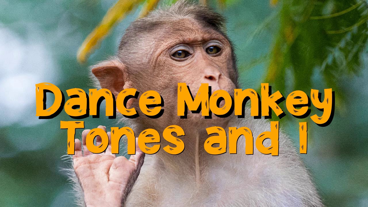 Dance Monkey 10 Hour Video Youtube