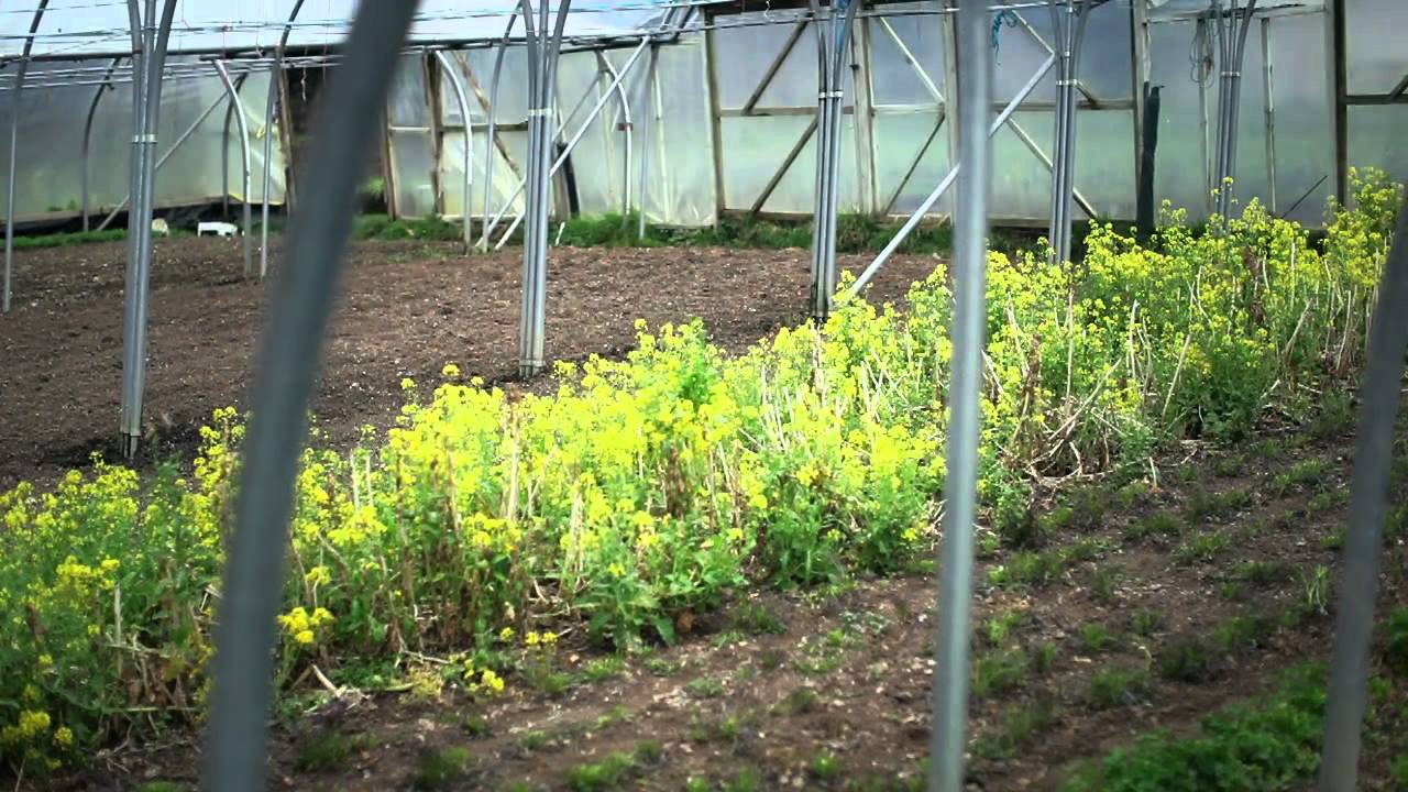 Making The Connection Top Documentary Films