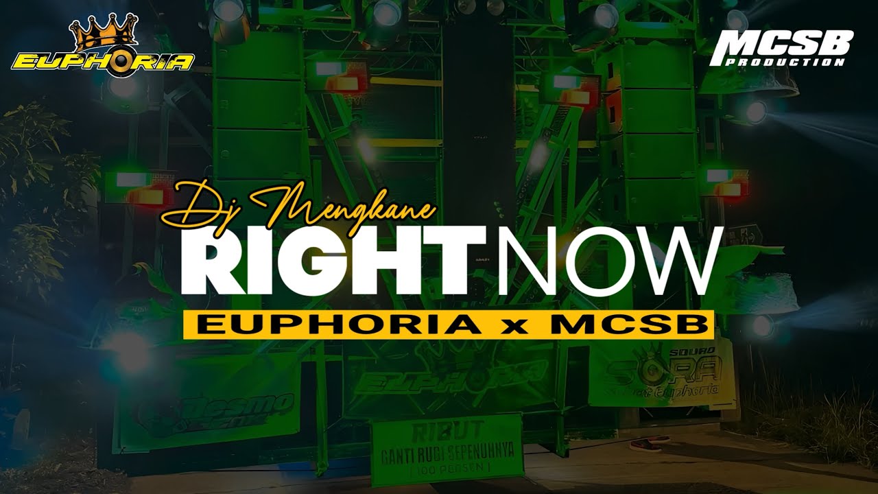 Dj Right Now Euphoria X Mcsb Youtube