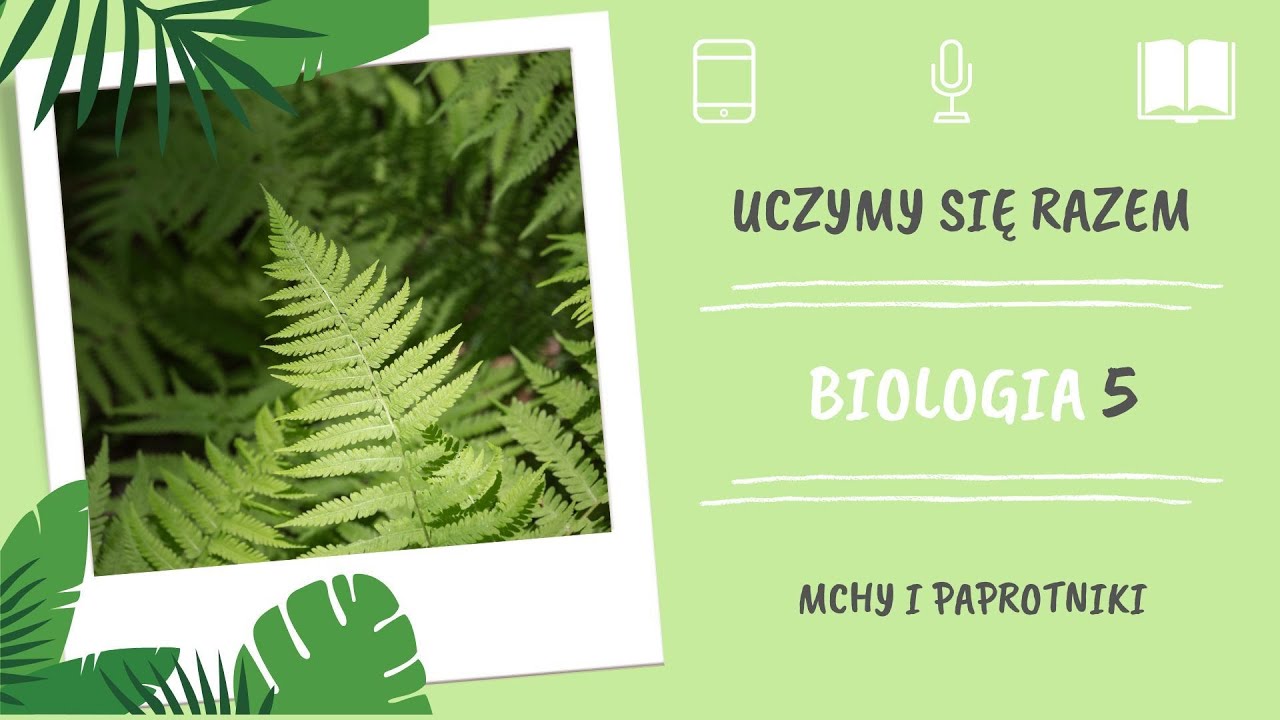 Biologia Klasa 5 Mchy I Paprotniki Uczymy Się Razem Youtube