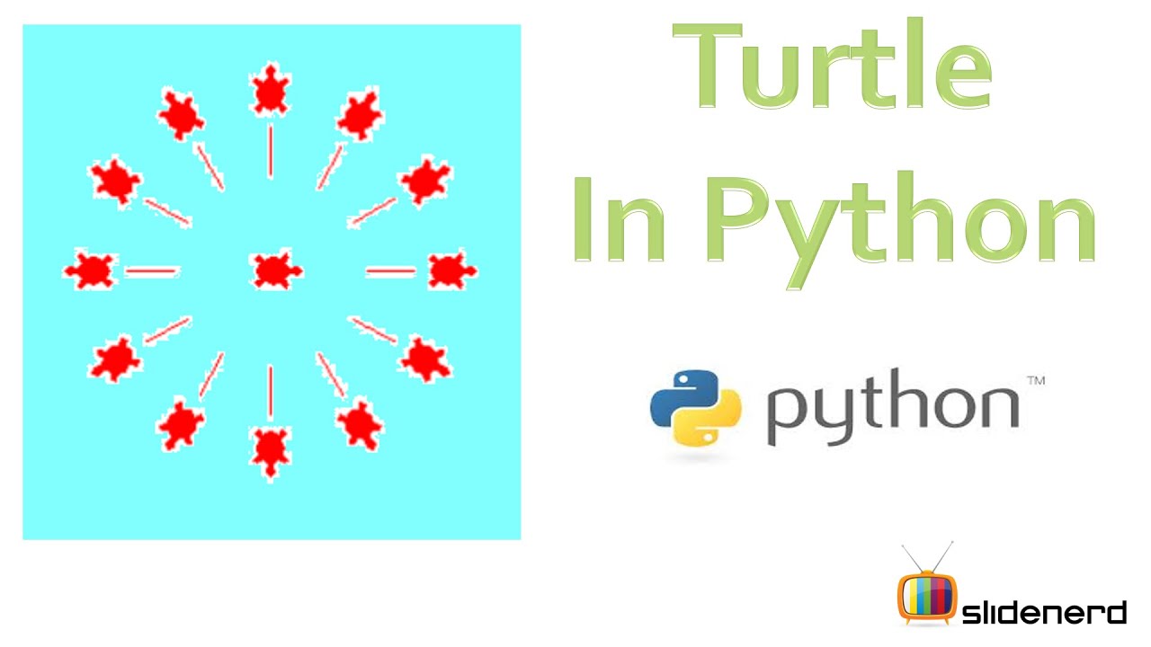 28 Turtle Graphic Drawing A Clock Dial Youtube