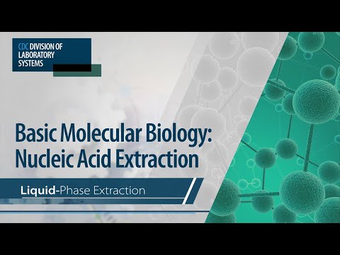 Basic Molecular Biology Nucleic Acid Extraction Liquid Phase