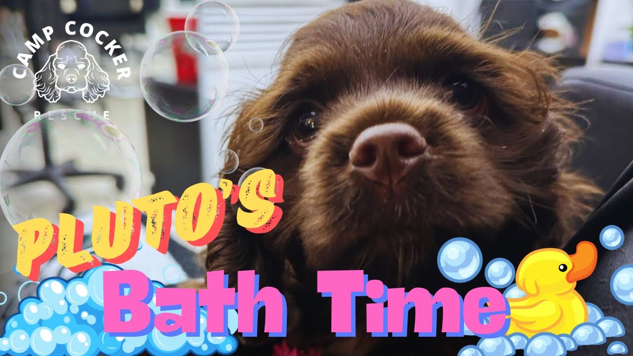 Pluto Gets A Bath Youtube