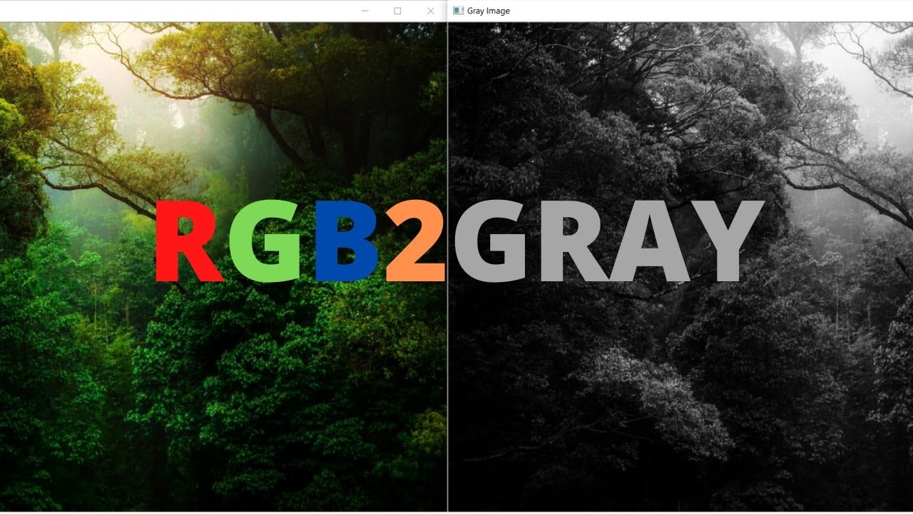 Opencv C Tutorial And Examples Rgb To Grayscale Conversion Opencv Code