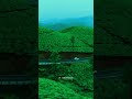Royalty Egzod Maestro Chives Ft Neoni Lyrics 1 Hour 4k Modios Mp3 Music ...