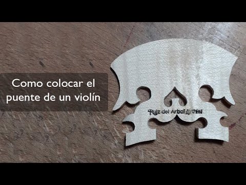 Colocación Correcta Del Puente Del Violín Tutorial Paso A Paso