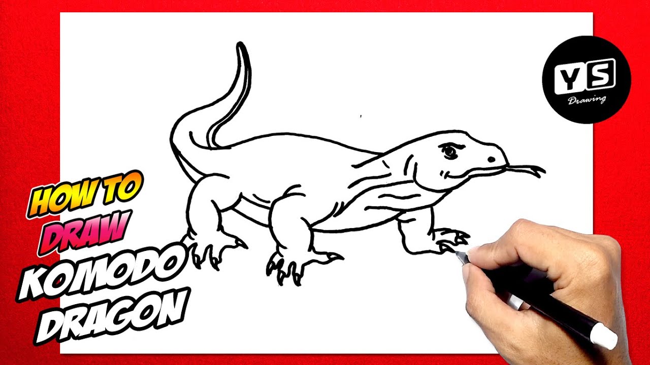 How To Draw Komodo Dragon At Troy Cason Blog