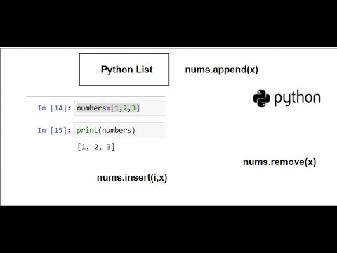 Python List Lec 1 Youtube