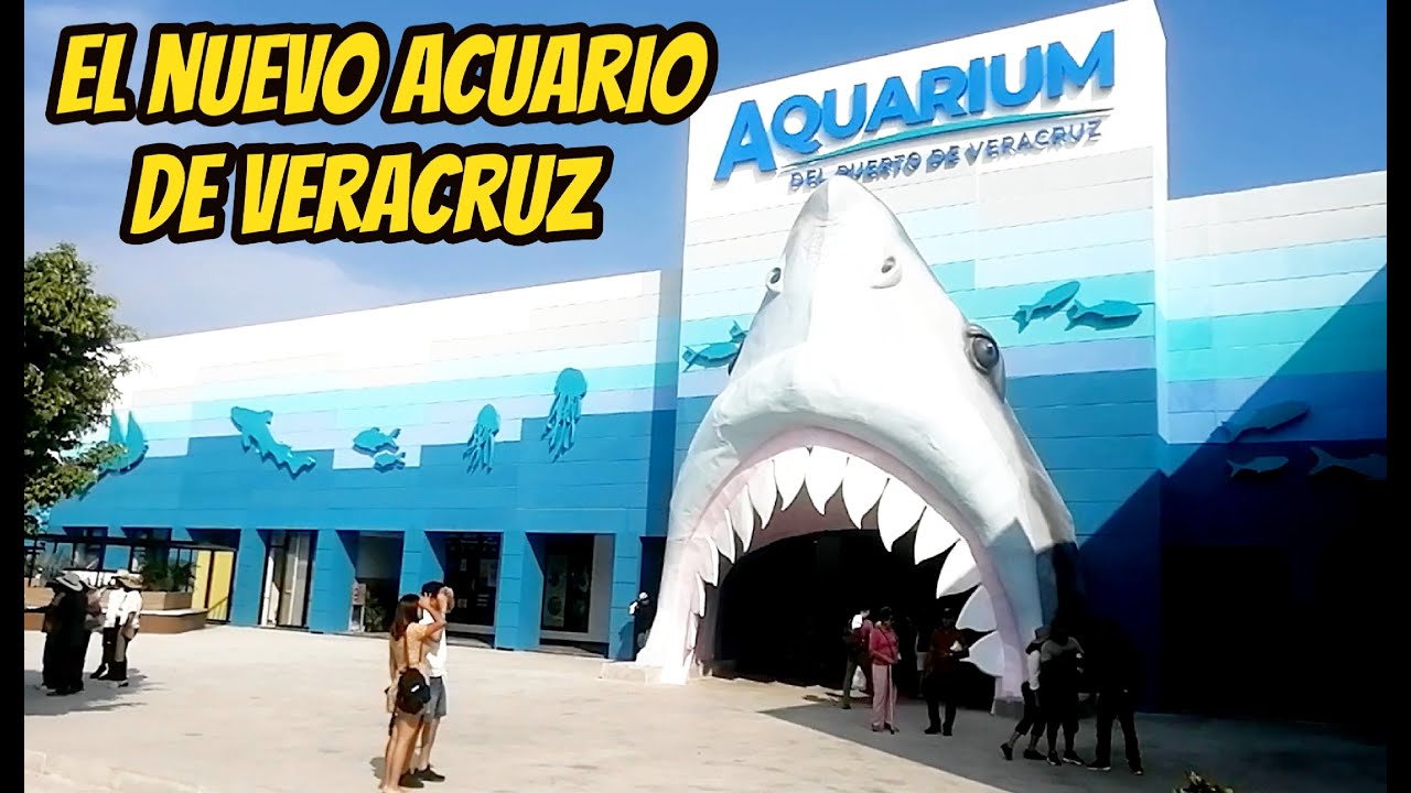 Nuevo Acuario De Veracruz Recorrido 1 Aquarium Del Puerto De Veracruz