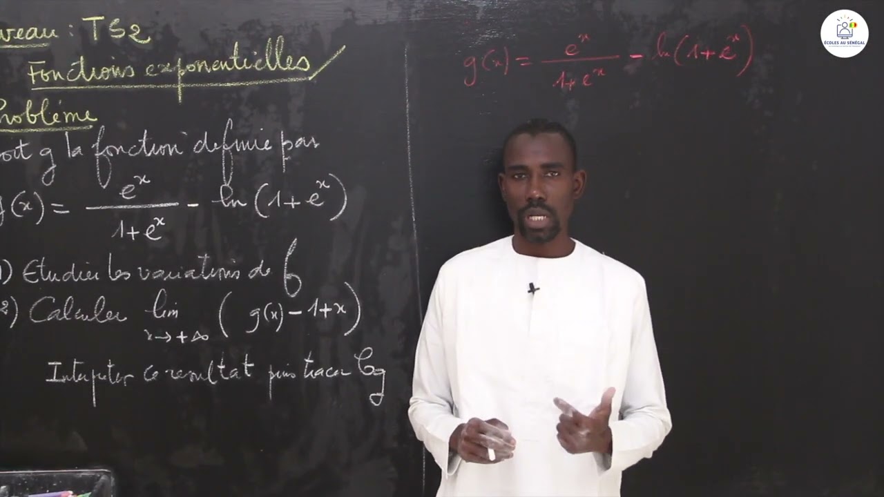 Exercices Terminale S2 Mathématiques Fonction Exponentielle